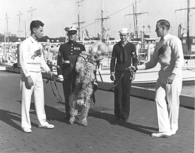 A Brief Illustrated History of the Navy Goat - USNI News