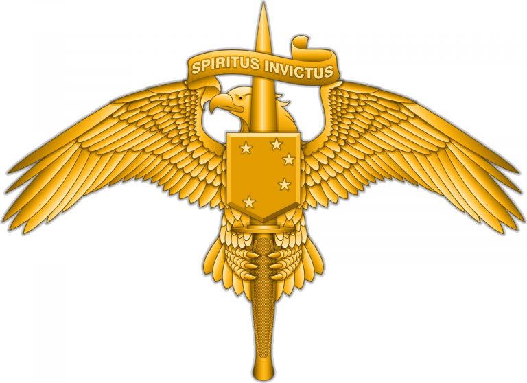 Marine Corps Announces New MARSOC Insignia Pin