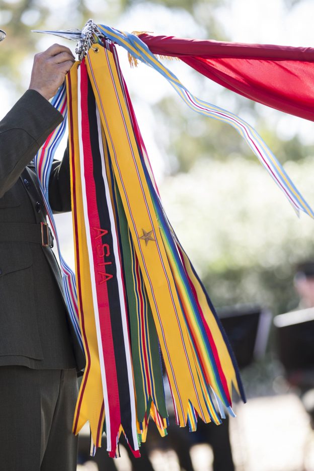 Regimental CO: 5th Marines Turns 100, Honors Long Battle Legacy - USNI News