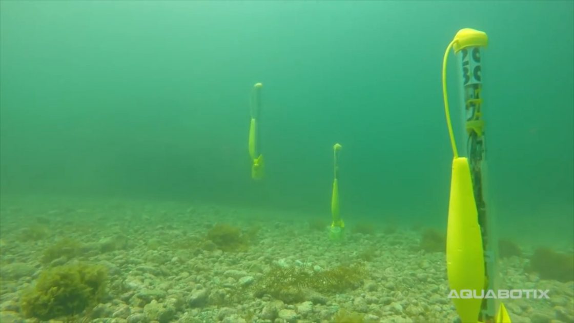 Navy Will Test Swarming Underwater Drones in Summer Exercise - USNI News