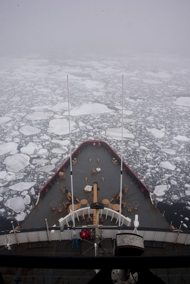 Coast Guard Asking U.S., Foreign Yards for Arctic Security Cutter ...