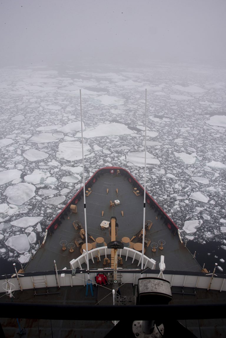 Coast Guard Asking U.S., Foreign Yards for Arctic Security Cutter ...